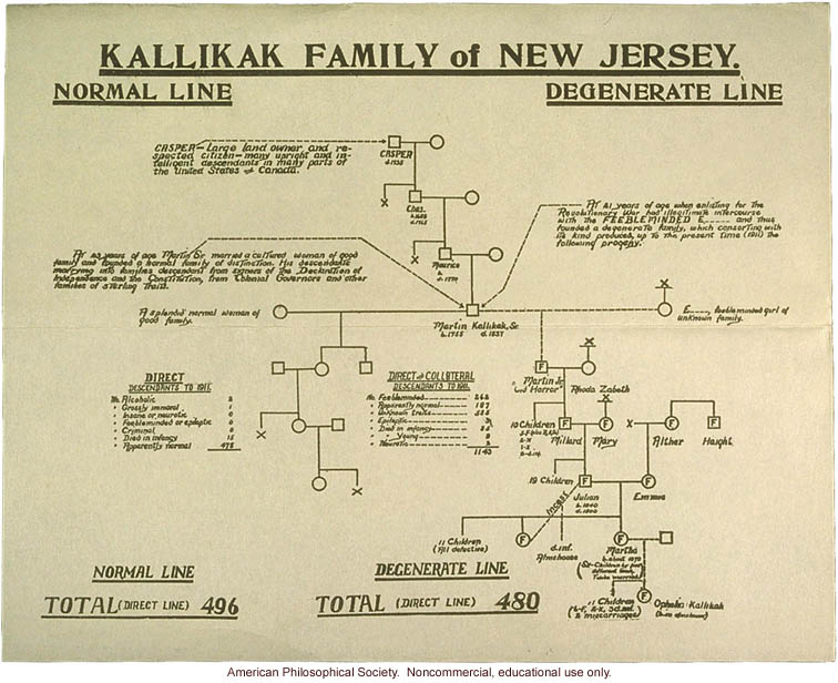 Kallikak family pedigree :: CSHL DNA Learning Center