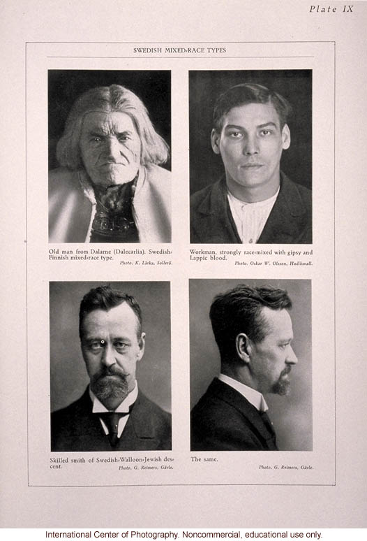 The Swedish Nation, "Folk and Race-Types" (Nordic, mixed-race, Finnish ...